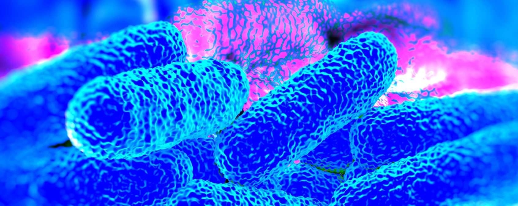 Legionella bacteria found in Hinchingbrooke Hospital water system