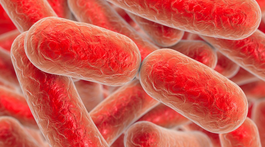 Understanding and Managing Legionella Risks: A Comprehensive Guide